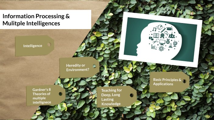 Information Processing & Mulitple Intelligences by Guadalupe Cernas on Prezi