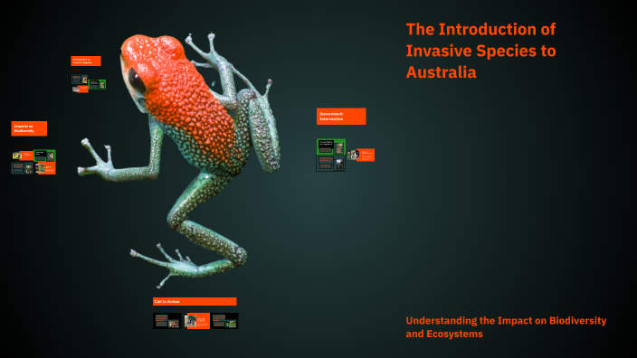 The Introduction of Invasive Species to Australia by Mason Miller on Prezi