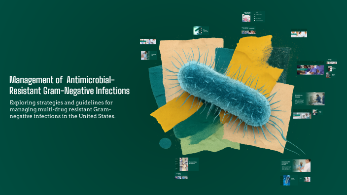Management of US-Based AMR Gram-Negative Infections by Fady Ayoub on Prezi