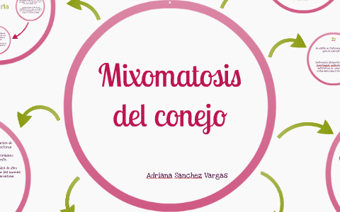 Mixomatosis by Adriana Sanchez on Prezi