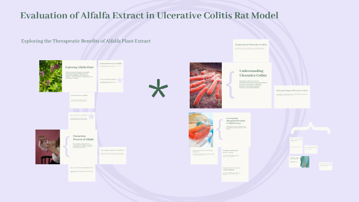 Evaluation of Alfalfa Extract in Ulcerative Colitis Rat Model by beso ...