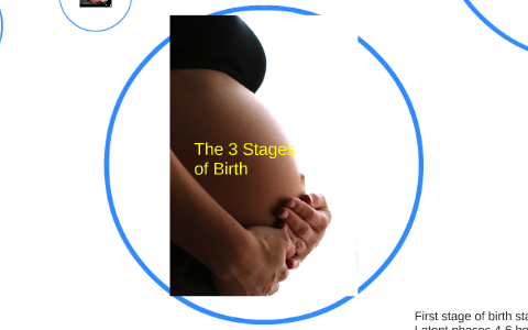 The 3 Stages of Birth by Nicole Miller on Prezi