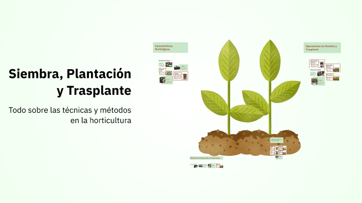 Características morfológicas de las plantas by LOYDA ramos on Prezi