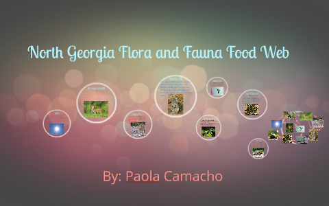 North Georgia Flora and Fauna Food Web by Paola Camacho on Prezi