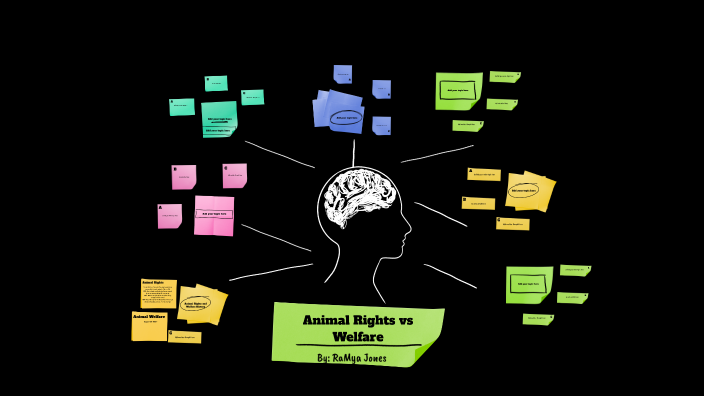 Animal Rights vs Welfare by RaMya Jones on Prezi