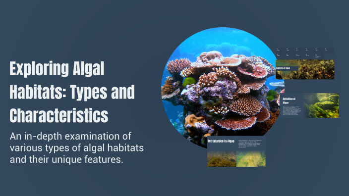 Exploring Algal Habitats: Types and Characteristics by Rupal Rocks on Prezi