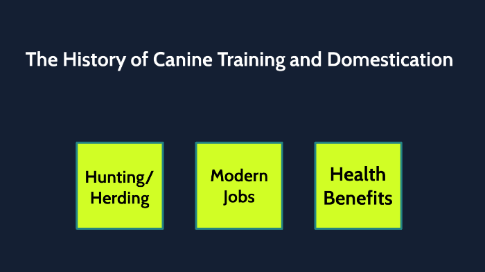 The History of Canine Domestication by David Schieferstein on Prezi