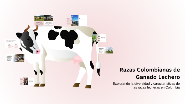 Razas Colombianas de Ganado Lechero by Yeiny Adriana Franco naranjo on ...