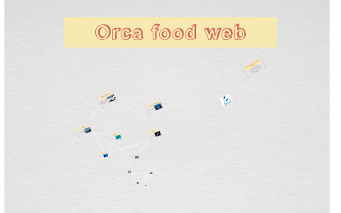 killer whale food web by Carl Pablo on Prezi