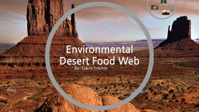 Environmental Desert Food Web by Claire Trachte on Prezi
