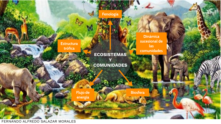 ECOSISTEMAS Y COMUNIDADES by Fernando Salazar on Prezi