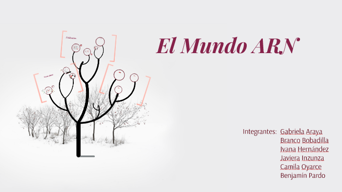 El Mundo ARN by Javiera Inzunza on Prezi