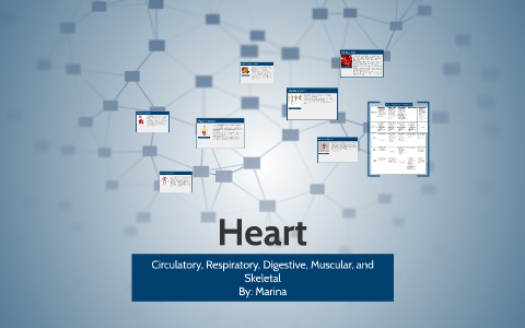 Body Systems interconnected by Sara Awad on Prezi