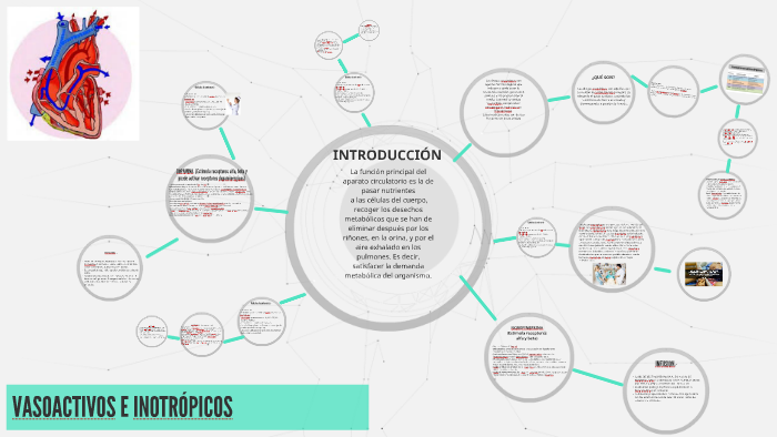 VASOACTIVOS E INOTRÓPICOS by on Prezi