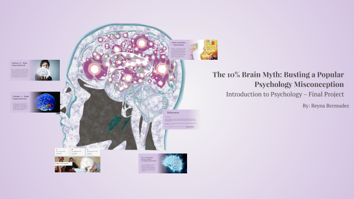 The 10% Brain Myth: Busting a Popular Psychology Misconception by Reyna ...