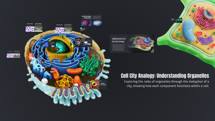 Cell City Analogy: Understanding Organelles by Tina Le on Prezi