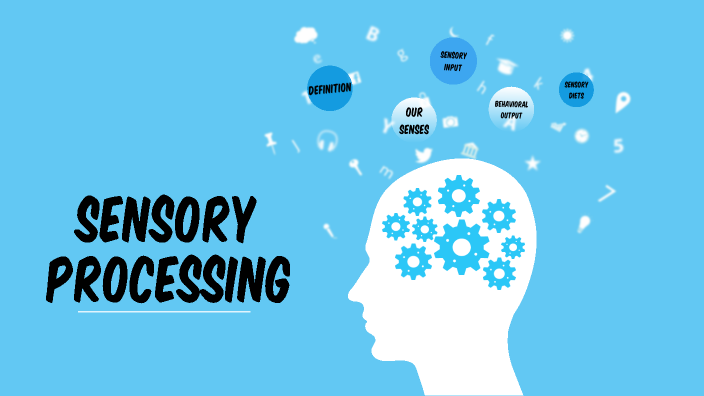 Sensory Processing Overview by Ariel Castetter on Prezi