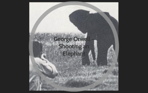 Shooting an Elephant (George Orwell) by Dario Schmid on Prezi