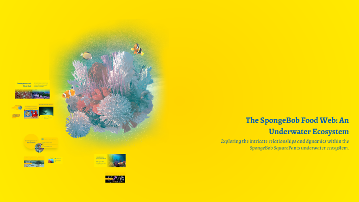 The SpongeBob Food Web: An Underwater Ecosystem by Zoey Hess on Prezi