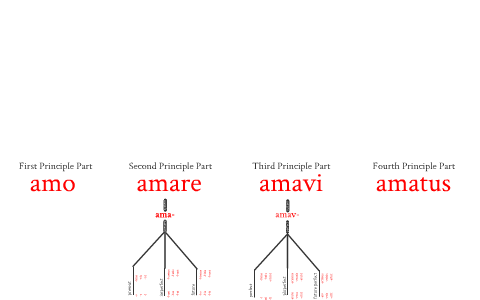 First Form Latin Review by Fred Sanders on Prezi
