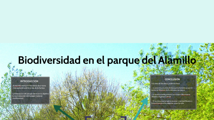 Biodiversidad en el parque del Alamillo by Victoria Martin on Prezi