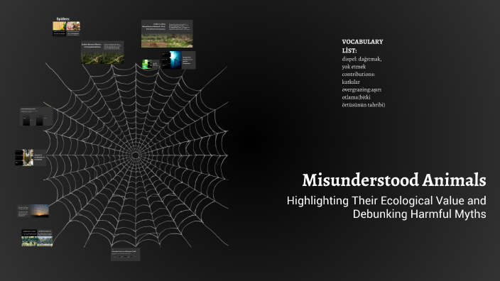 Misunderstood Animals by zeynep trkmn on Prezi