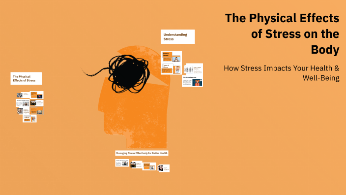 The Physical Effects of Stress on the Body by Caitlyn Kulp on Prezi