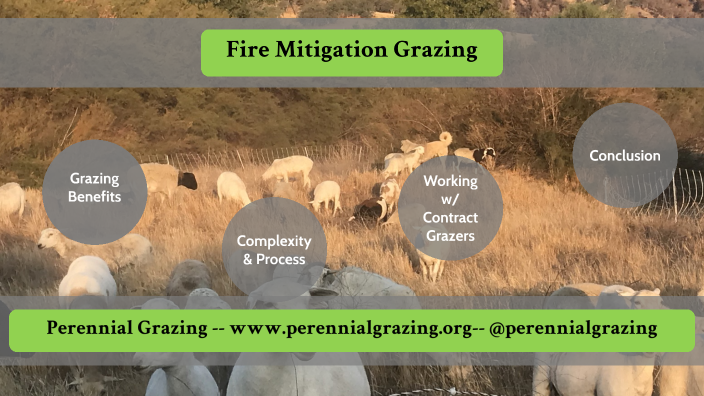 Fire Mitigation Grazing by Christian Cain on Prezi