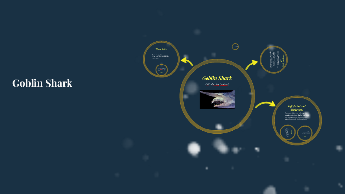 Goblin Shark by caleb munger on Prezi