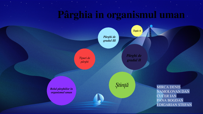 Mecanisme simple in organismul uman pârghi by Mirca Denis on Prezi