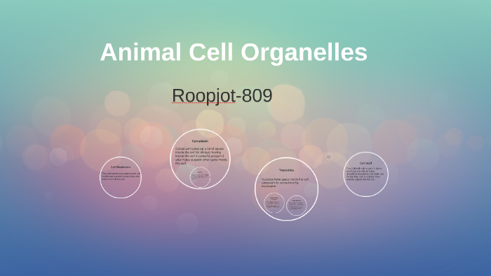 Animal Cell Organelles by Simran Kalkat on Prezi