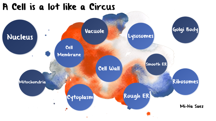 A Cell Is Like a Circus by Mina Saez on Prezi