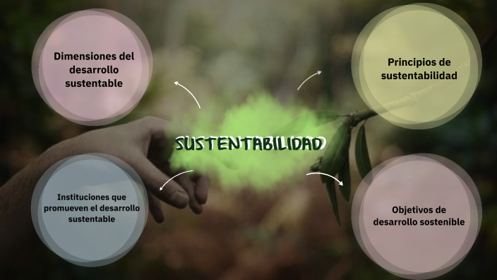 Principios de sustentabilidad by Emma Lorena Hernández López on Prezi