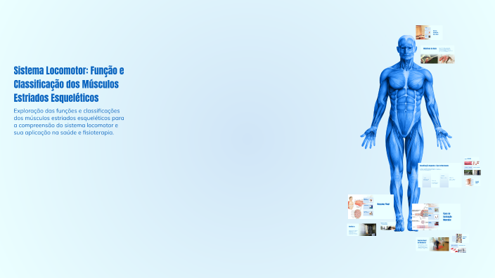 Sistema Locomotor: Função e Classificação dos Músculos Estriados ...