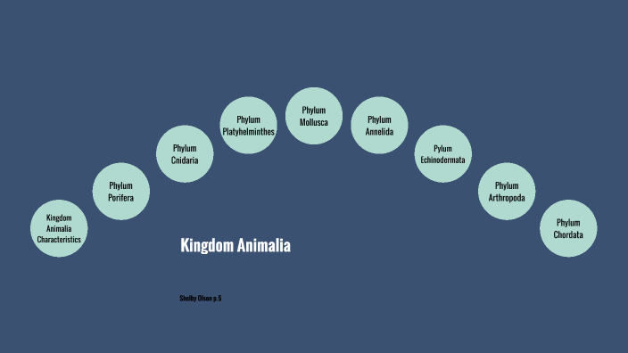Zoology Kingdom Animalia by Shelby Olson on Prezi