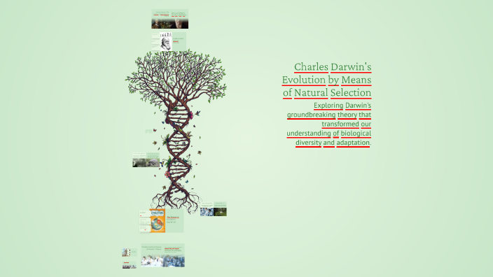 Charles Darwin's Evolution by Means of Natural Selection by on Prezi