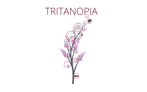 Tritanopia Color Blindness by Alex Schweyer on Prezi