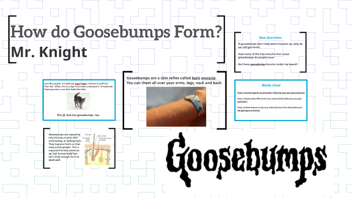 How do Goosebumps Form? by Mister Knight on Prezi