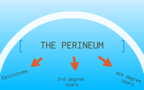 Episiotomy & 3rd/ 4th degree tears by orla fallon on Prezi