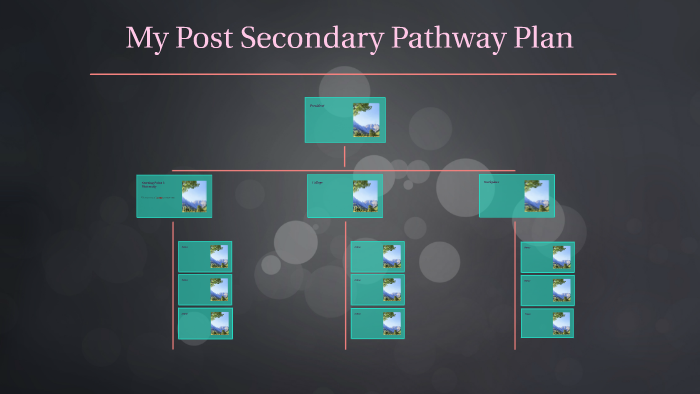 Company Org Chart by Elizabeth Kyriakides on Prezi