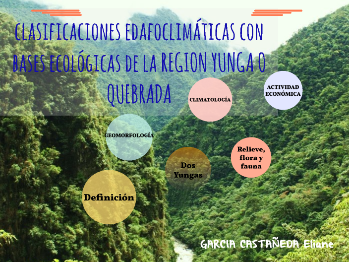 REGION YUNGA O QUEBRADA by Eliane Garcia on Prezi