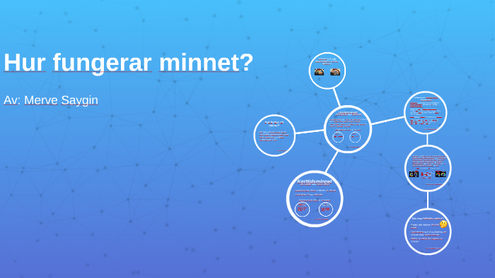 Hur fungerar minnet? by M Saygin on Prezi