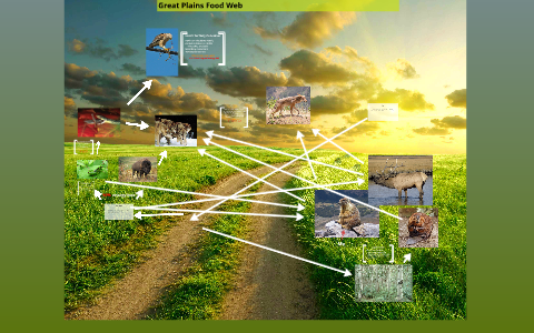 Biological Map by Austin Morse on Prezi