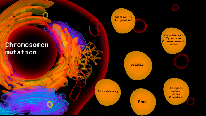 Chromosomenmutation by Mert Izer on Prezi