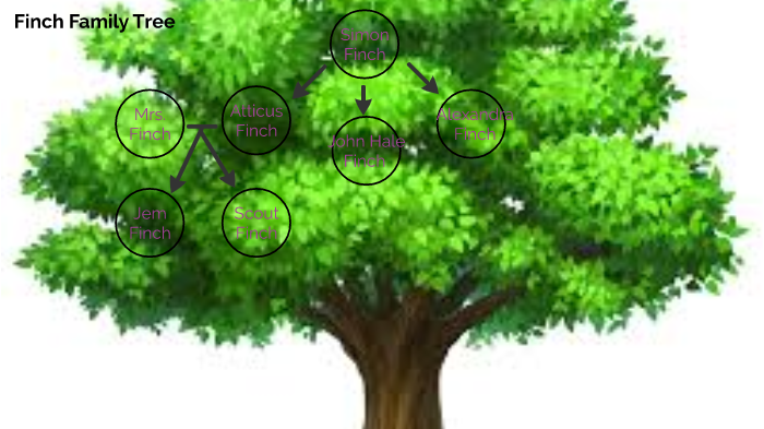 Finch Family Tree by Kennedy Kusek on Prezi