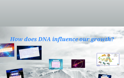 How does DNA influence our growth? by Hritik Sharma on Prezi