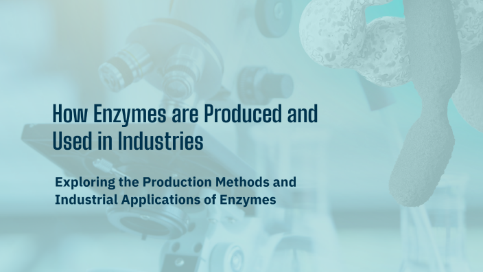 How Enzymes Are Produced and Used in Industries by devyn aiken on Prezi