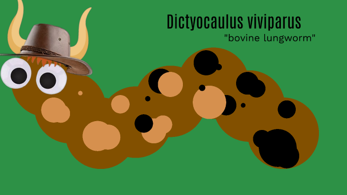 Worms by Londyn Howard on Prezi
