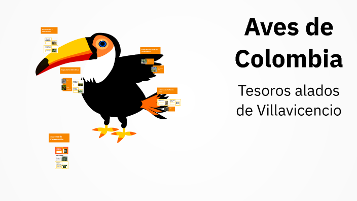 Aves de Colombia by Ismael Caro on Prezi