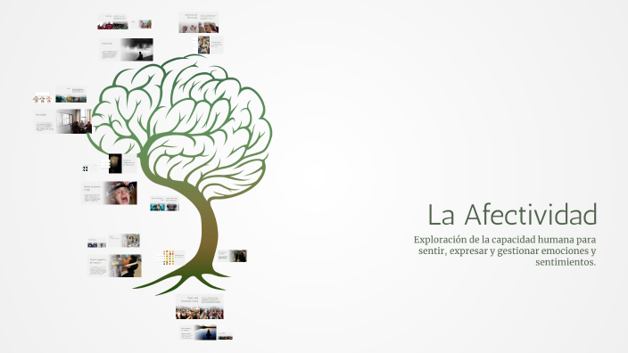 La Afectividad by Fabiola Ponce amao on Prezi